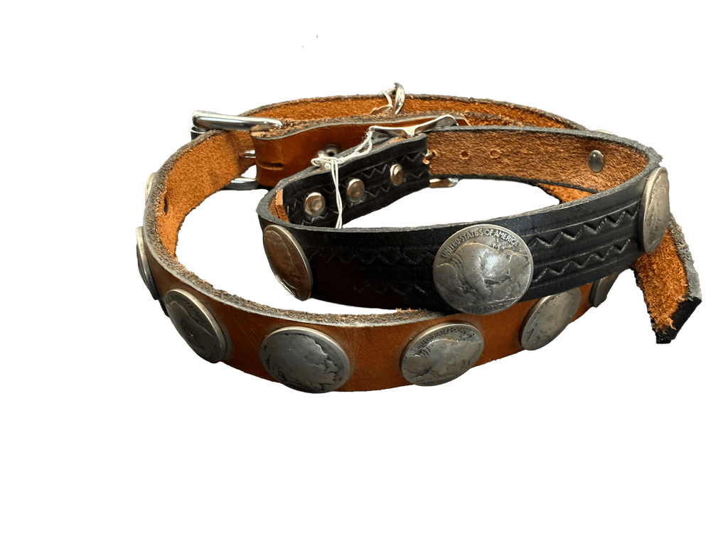 Coin Dog Collar | Picayune Cellars & Mercantile
